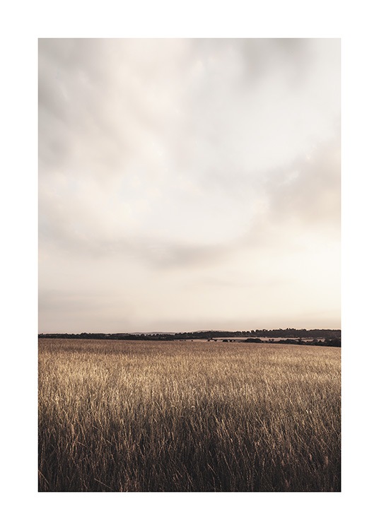 Calm Field Poster - Field with crops - desenio.com.au